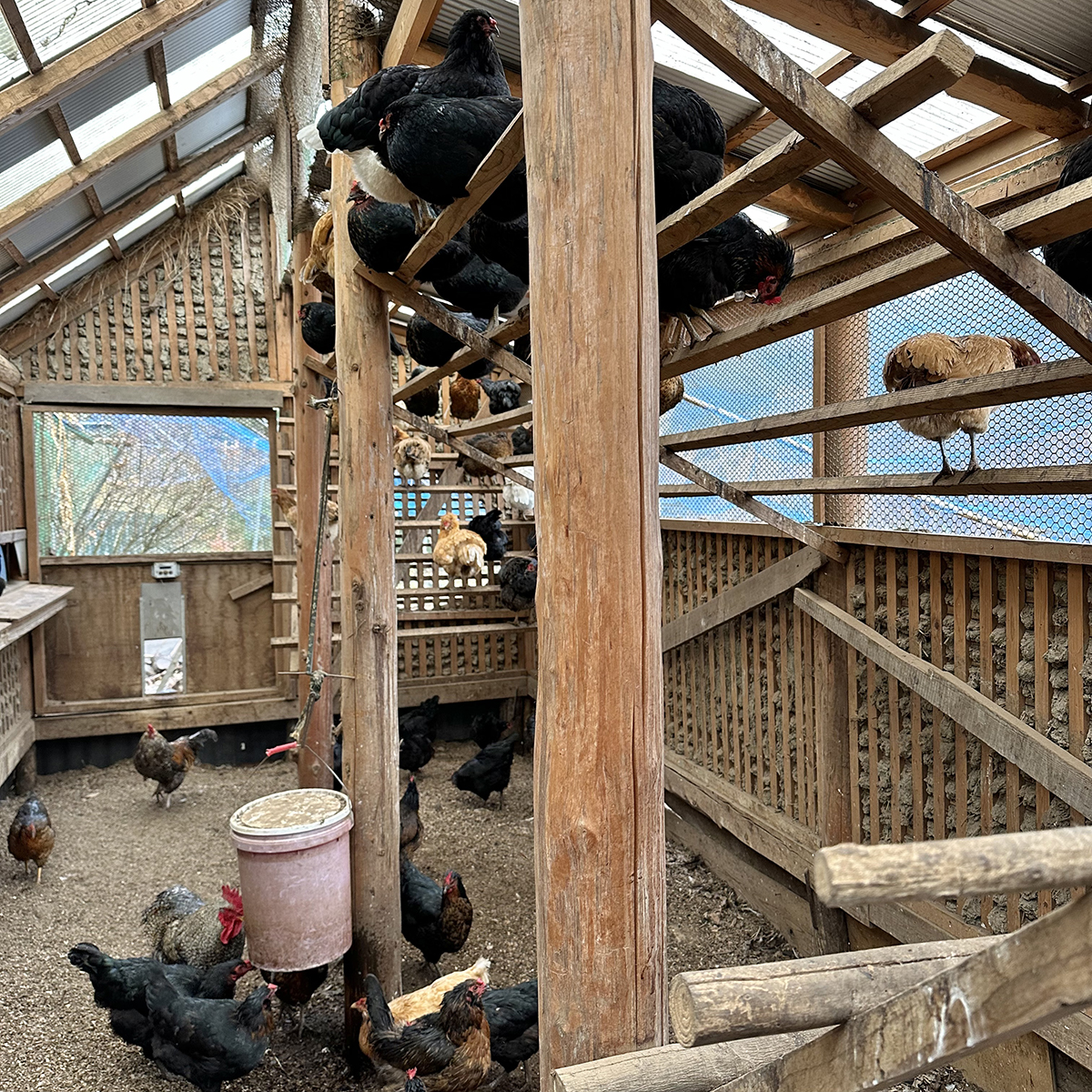 Let’s stay in a traditional farmhouse in the Japanese countryside ...