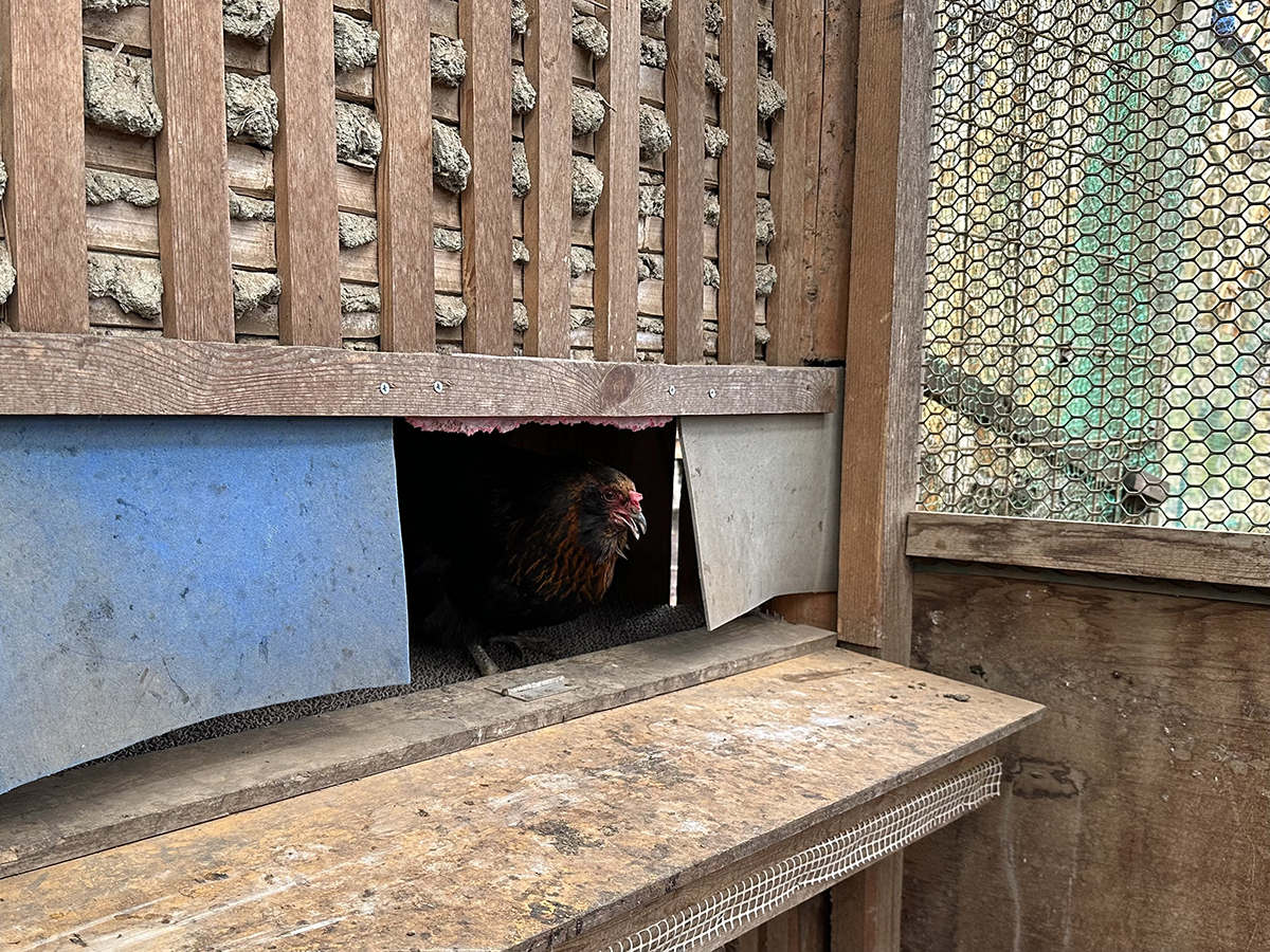 Let’s stay in a traditional farmhouse in the Japanese countryside ...