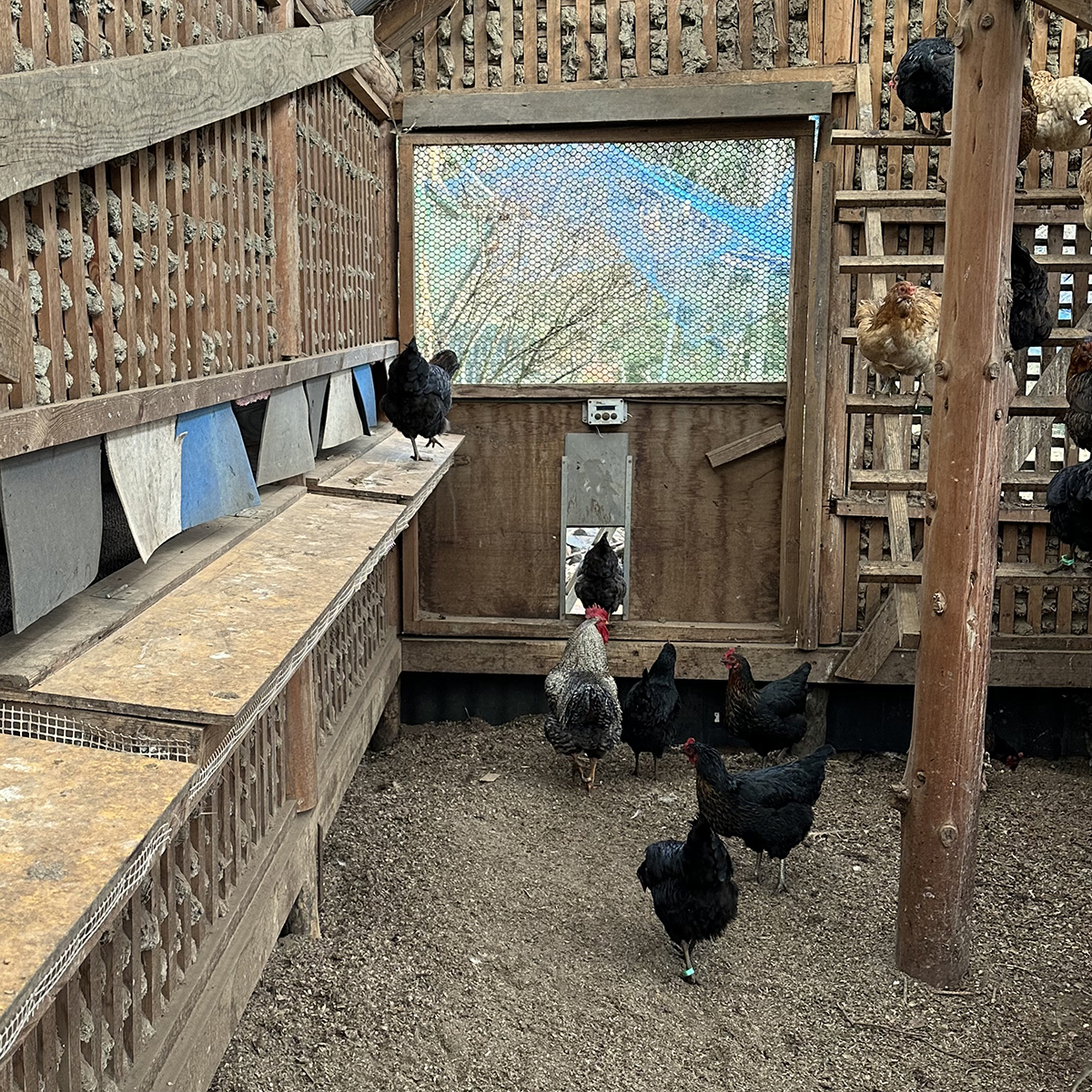 Let’s stay in a traditional farmhouse in the Japanese countryside ...