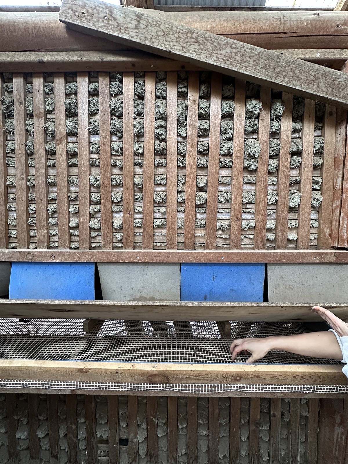 Let’s stay in a traditional farmhouse in the Japanese countryside ...
